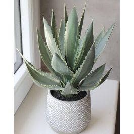 False agave americana HEDI, terracotta pot, green, 14"/35cm