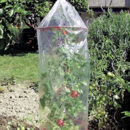 Perforated tomato plant cover NAZMIYE with rings, 3 pieces, transparent ...