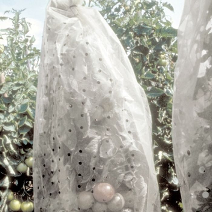Perforated tomato plant cover NAILE, transparent-white, 1000x65cm