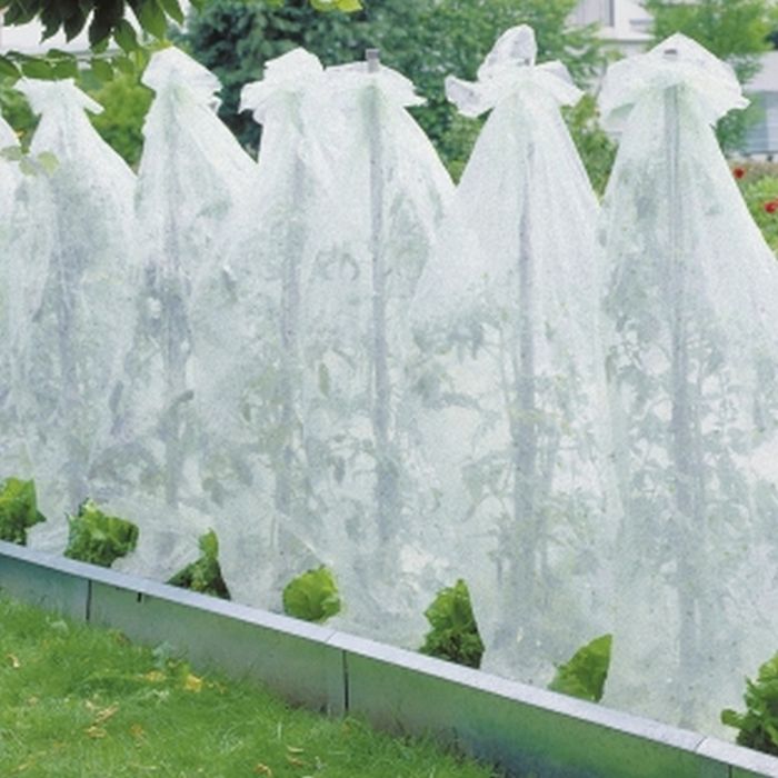 Tomato plant cover SEMRA, white, 80x500cm