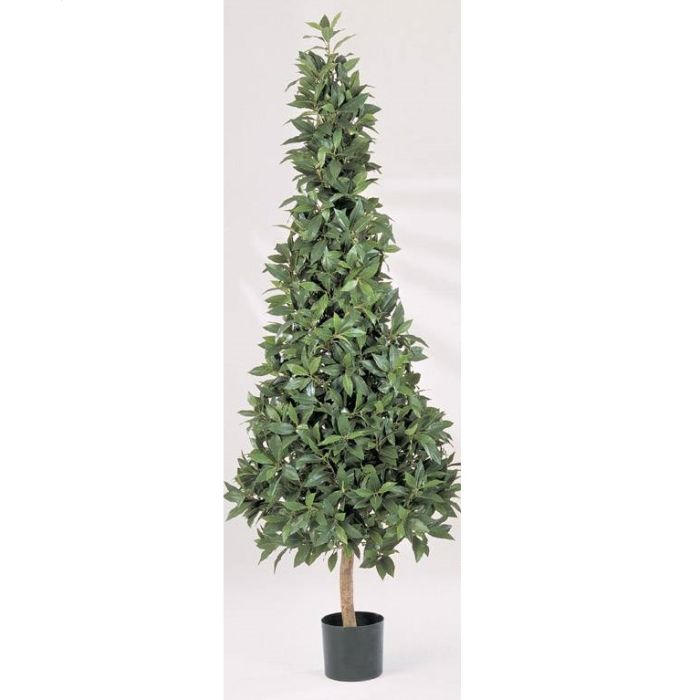 Decorative tree laurel pyramid ANTONIUS, real trunk, 4ft/110cm