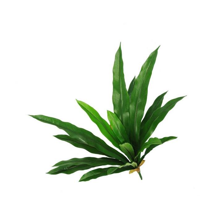 Decorative nest fern SOUTA, spike, crossdoor, green, 30"/75cm, Ø 26"/65cm