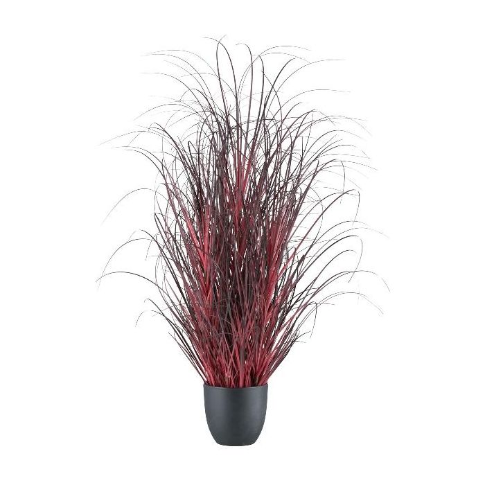 Decorative Pennisetum setaceum TUNPA in decorative pot, dark red, 31"/80cm