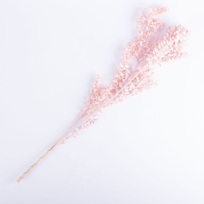 Dried flower Ruscus bundle SIMONETTA, pink, 28"/70cm